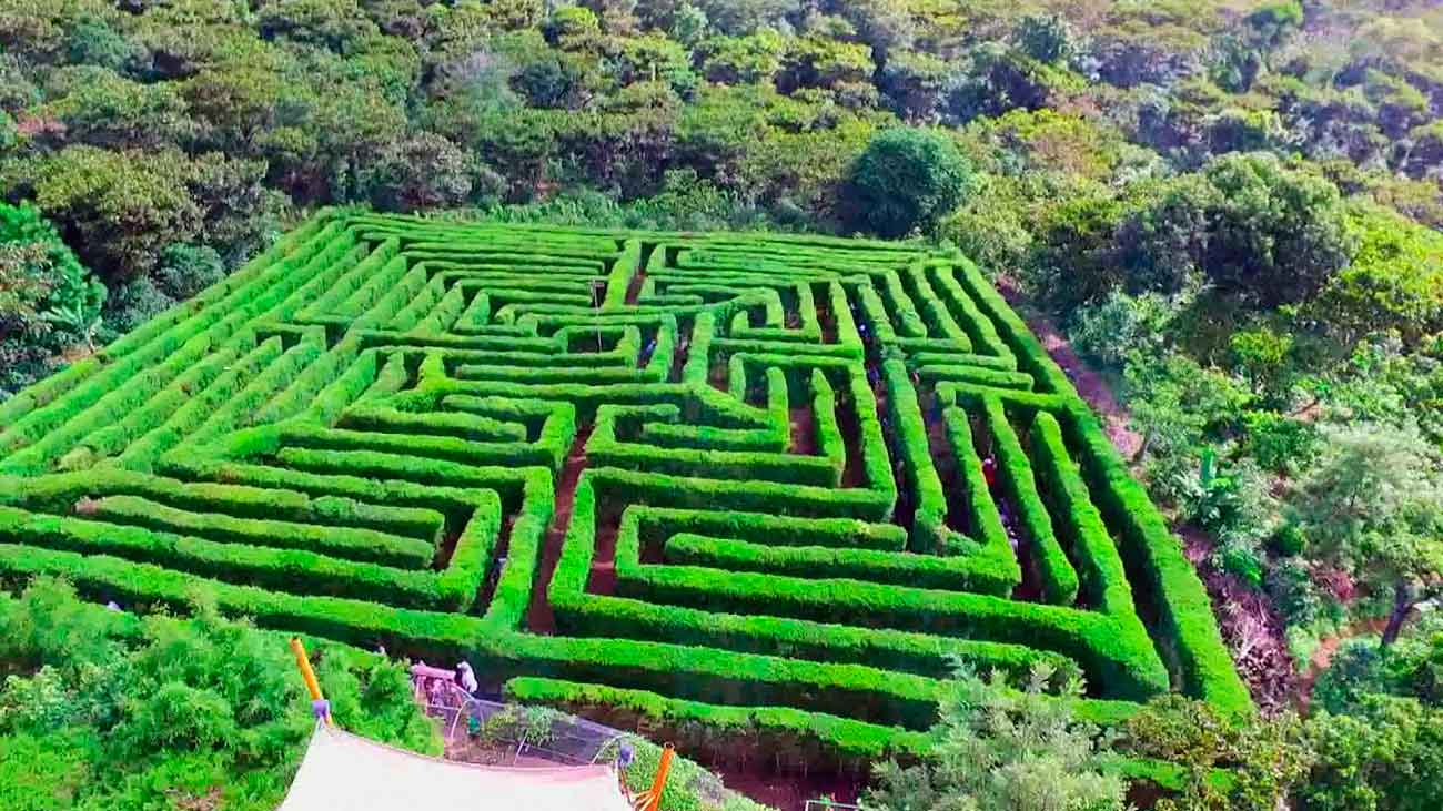 Lo mejor de la Ruta de las Flores en El Salvador: que ver y hacer