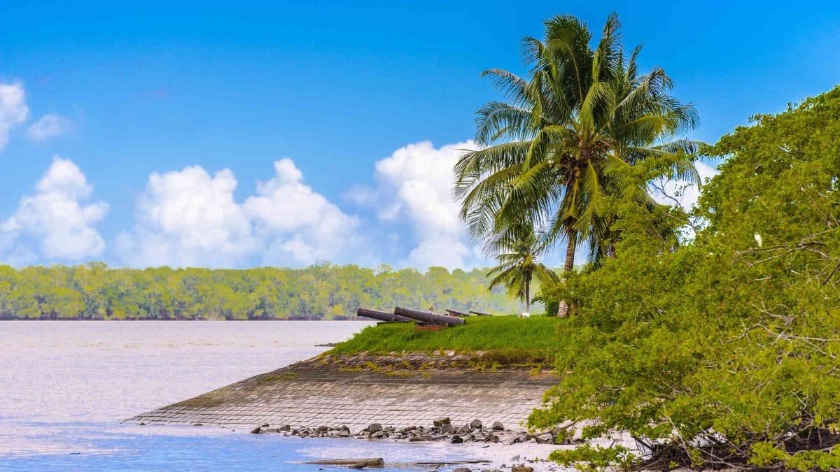 Qué ver en Surinam: la guía definitiva para perderte en su naturaleza