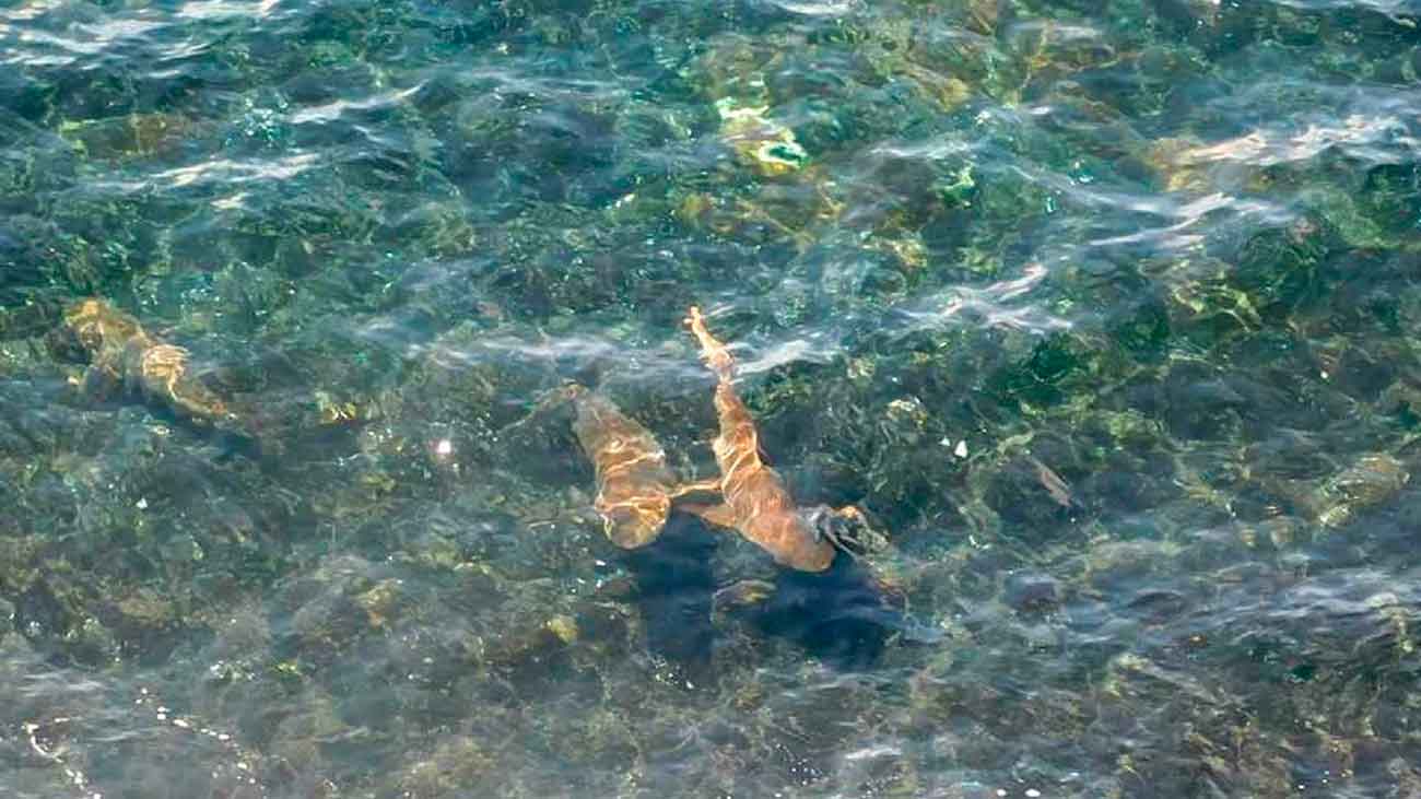 Qué ver y hacer en Vanuatu: manual para descubrir el paraíso más ...